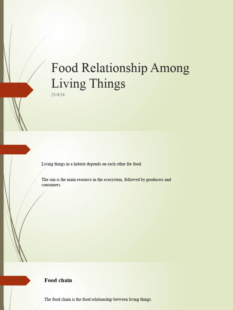 Ecosystem Food Chains & Webs | PDF | Foods | Food Web