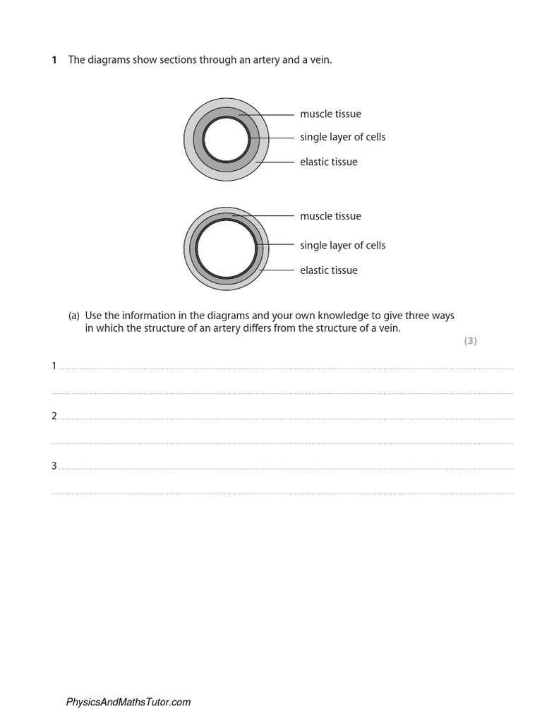 Transport 2 QP - Merged | PDF | Vein | Thrombus