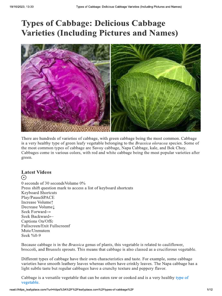 Cabbage Varieties and Names List | PDF | Computers | Technology ...