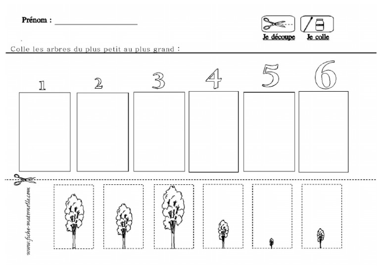 27 11 23 - Comparer et classer du plus petit au plus grand - longueur ...