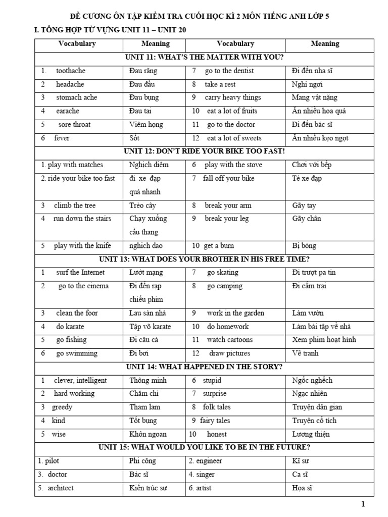 ĐỀ CƯƠNG HK2 LỚP 5 | PDF | Dolphin