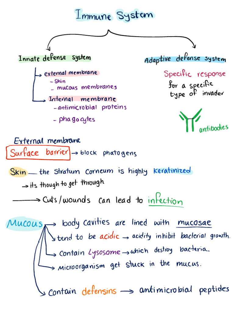 Immunity Notes-1 | PDF