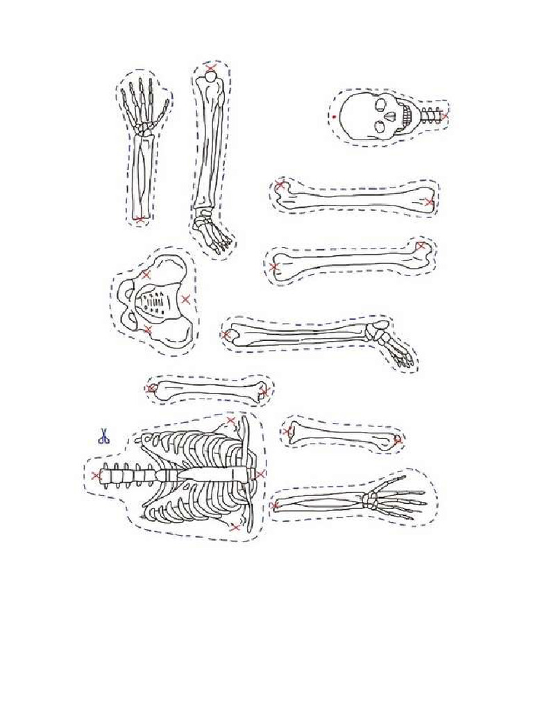 Esquelet Retallable | PDF