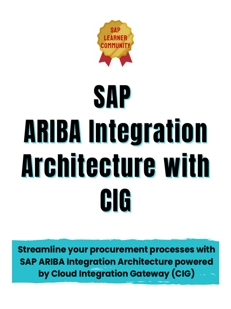 Ariba Integration Pdf Cloud Computing Information Technology Management