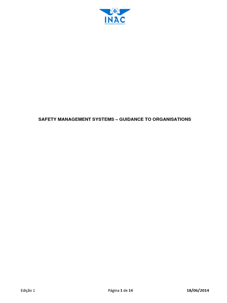 SAFETY MANAGEMENT SYSTEMS - Guidance To Organizations | PDF | Risk | Risk Management