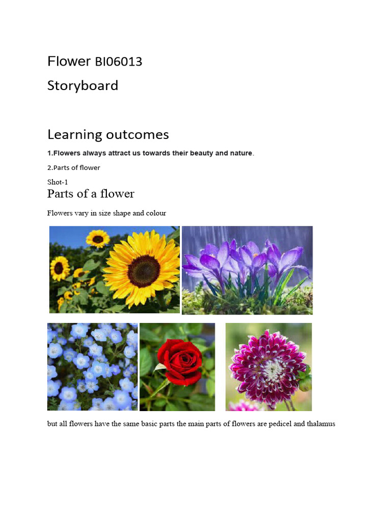 Flower Anatomy and Types Guide | PDF | Flowers | Petal