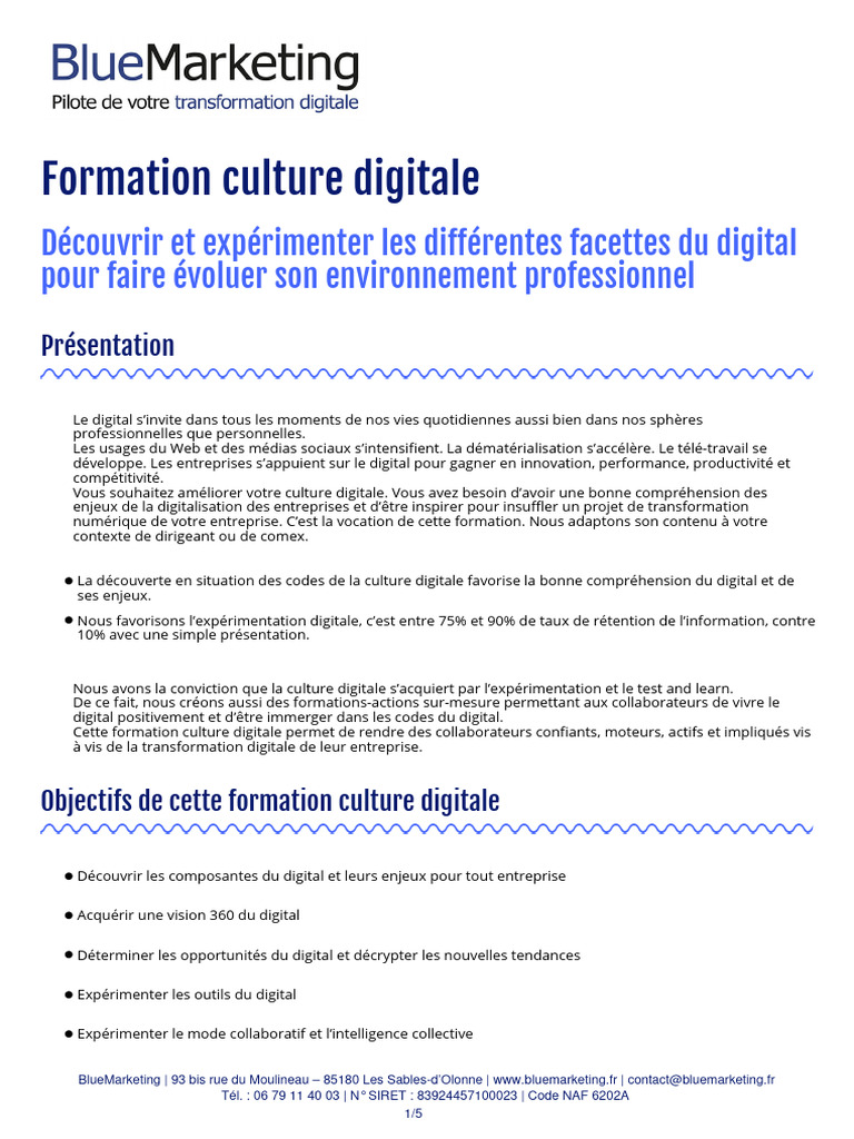 Formation en culture digitale | PDF | Business
