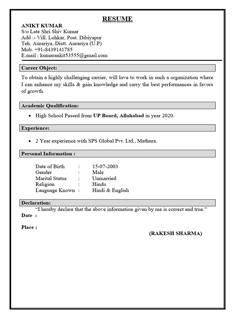 Ankit Kumar Resume Overview | PDF