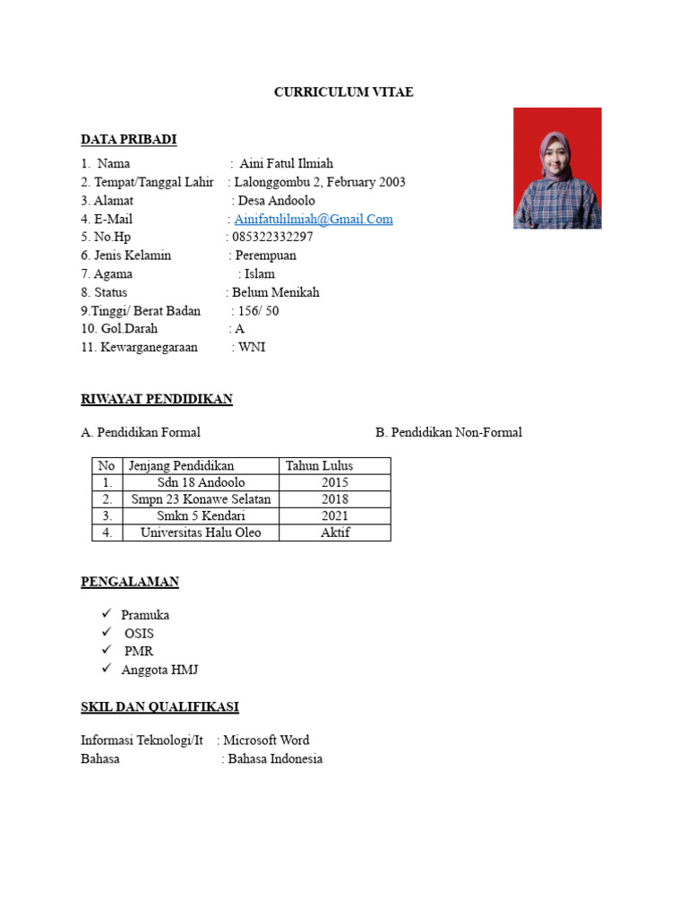 CV Aini Fatul | PDF