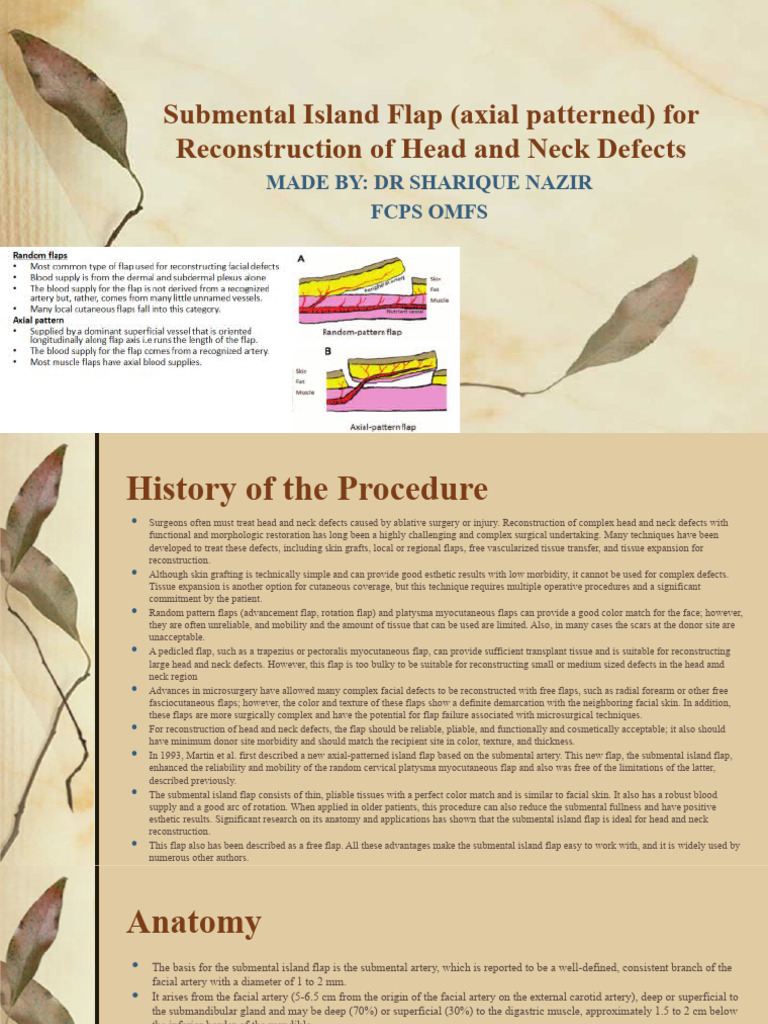 Submental Island Flap | PDF | Common Carotid Artery | Anatomy