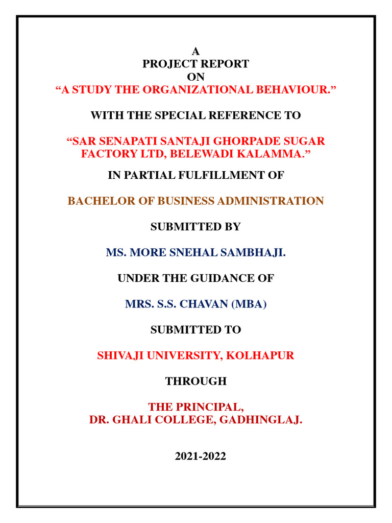 Snehal More | PDF | Organizational Behavior | Motivation