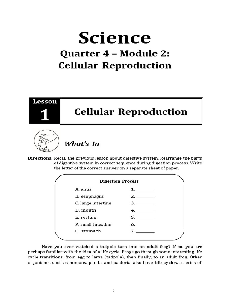 Mitosis vs. Meiosis Learning Activity Sheets | PDF | Meiosis | Mitosis