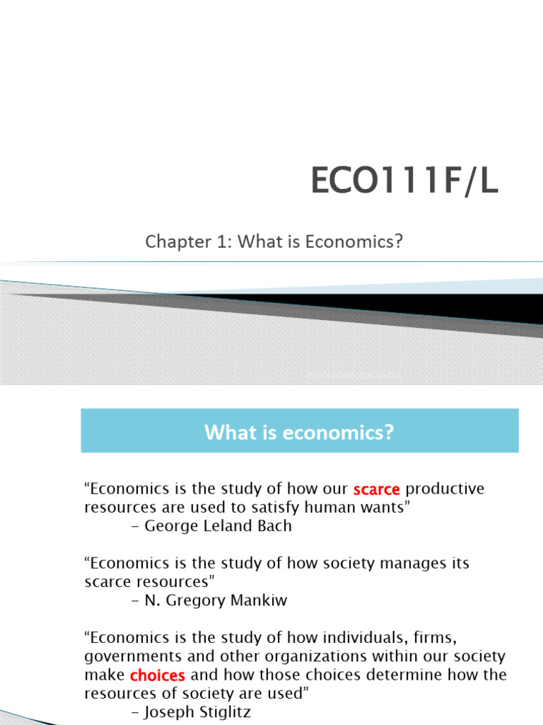 Introduction to Economics Concepts | PDF | Economics | Goods