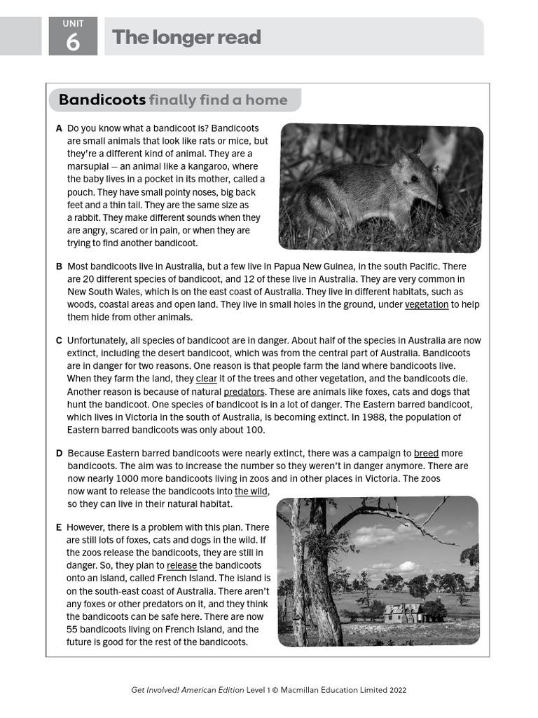 Long Read U6 | Download Free PDF | Zoo | Zoology