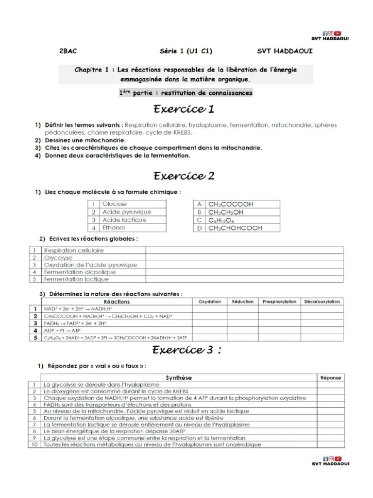 SVT 2bac Haddaoui | PDF