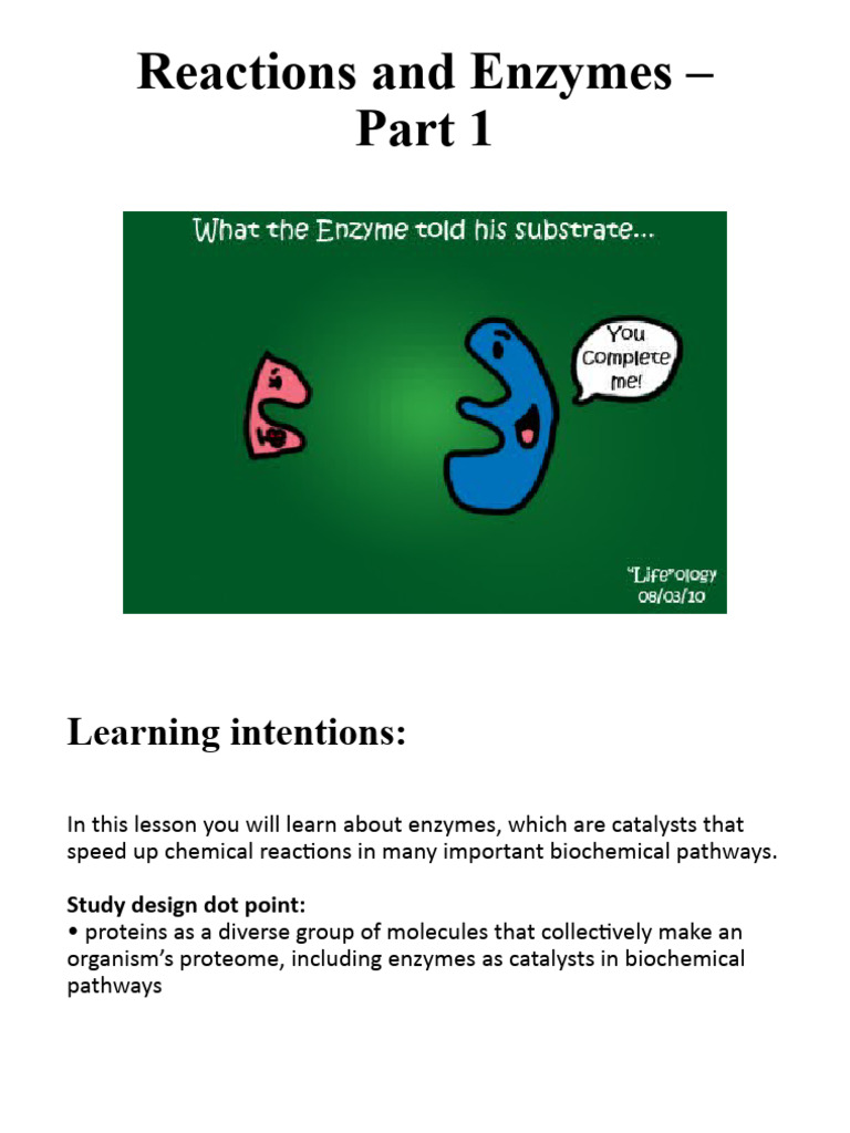Enzymes Part 1 | PDF | Enzyme | Activation Energy