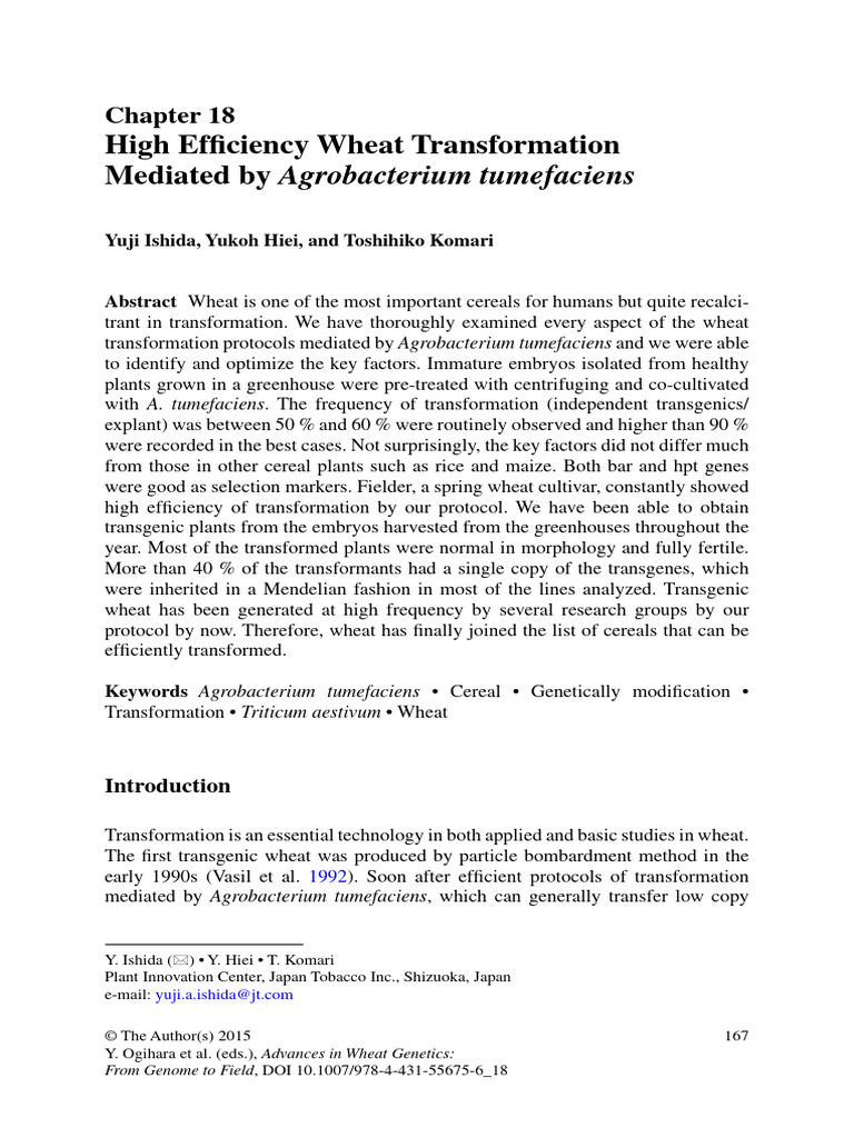 High Effi Ciency Wheat Transformation Mediated by Agrobacterium ...