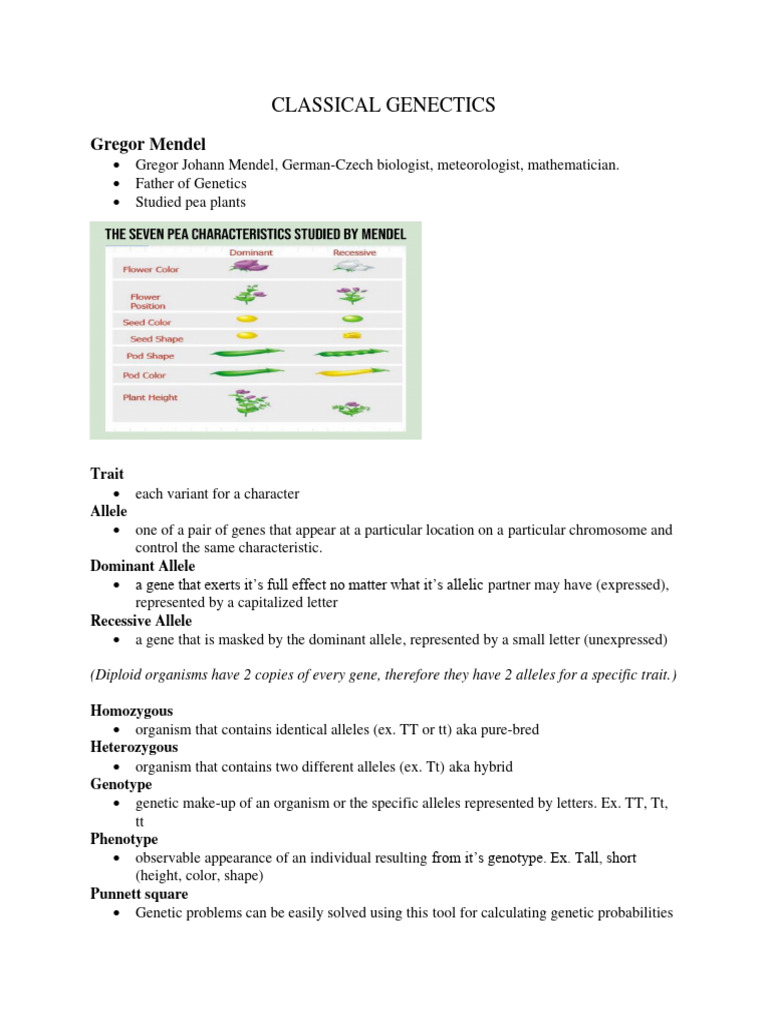 Bio Reviewer | PDF | Dominance (Genetics) | Genetic Code