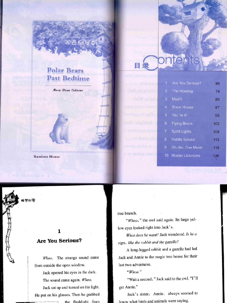 V3 G3A CRC 16 Textbook Polar Bears Past Bedtime | PDF | Polar Bear | Bears