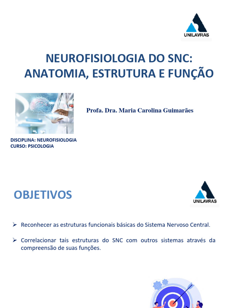 Aula 4 - Neurofisiologia Do SNC (Anatomia J Estrutura e Função | PDF ...