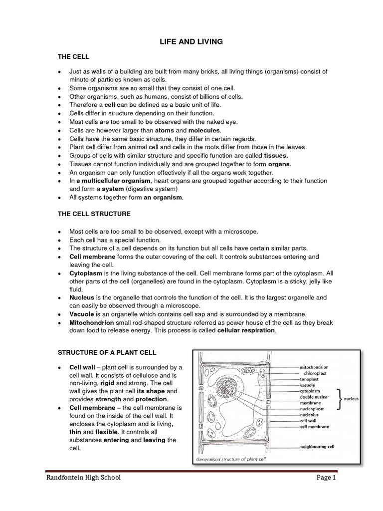 The Cell | PDF | Cell (Biology) | Vacuole