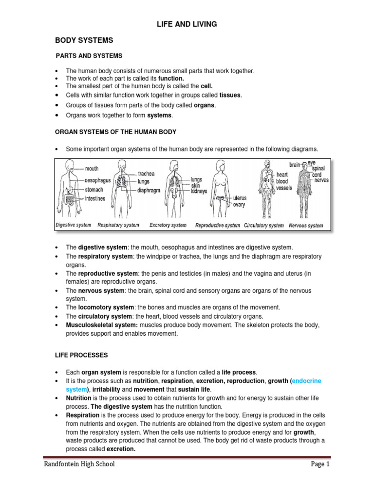 Body Systems | Download Free PDF | Human Body | Human Anatomy