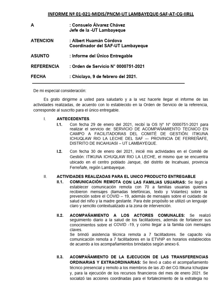 Informe Unico Entregable | PDF