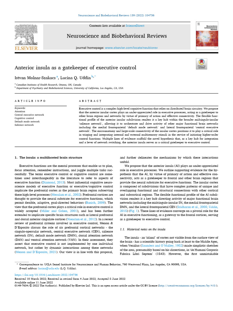 Anterior Insula's Role in Executive Control | PDF | Insular Cortex ...