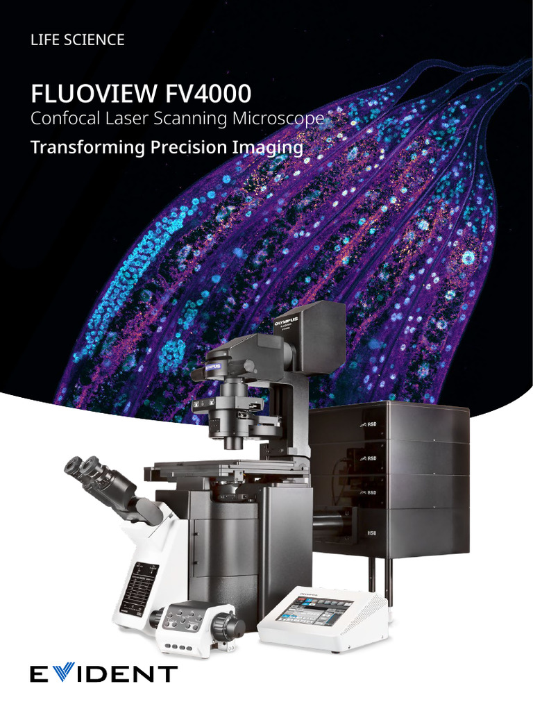 FV4000 Brochure EN A4 2023 11 Web | PDF | Confocal Microscopy | Microscopy