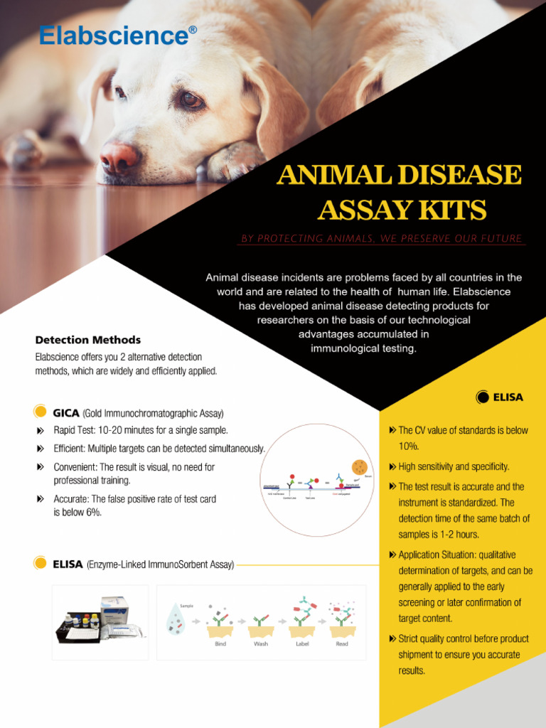 Animal Disease | PDF