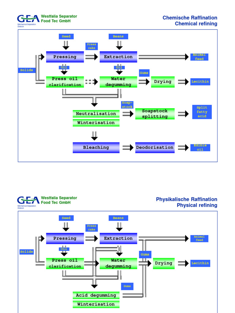 Edible Oil Process Training | PDF | Chemical Substances | Chemistry