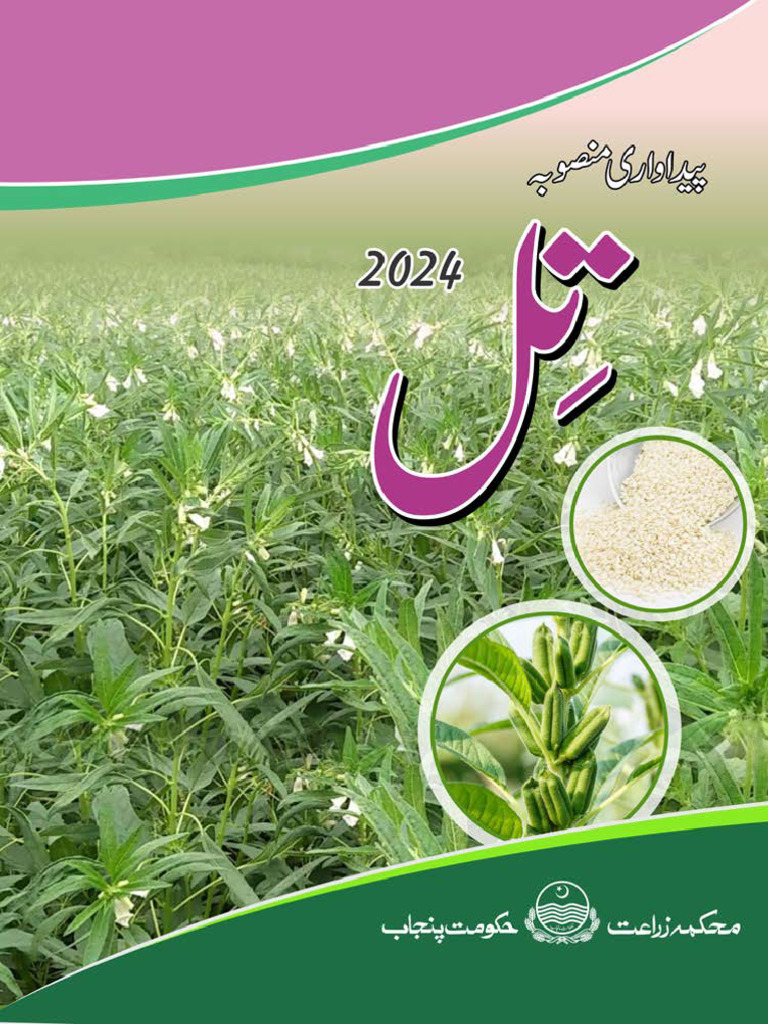 Seasum Plan-2024 | PDF
