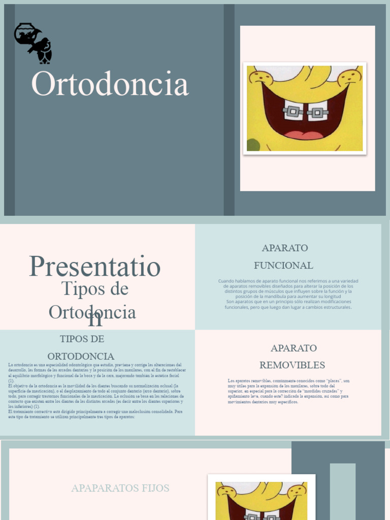 Simple-Healthcare-Presentation WEN | PDF | Ortodoncia | Anatomia dental