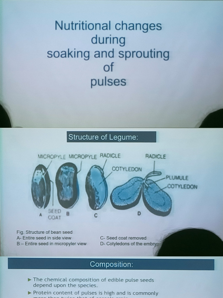 Nutritional Changes During Soaking & Sprouting of pulses | PDF