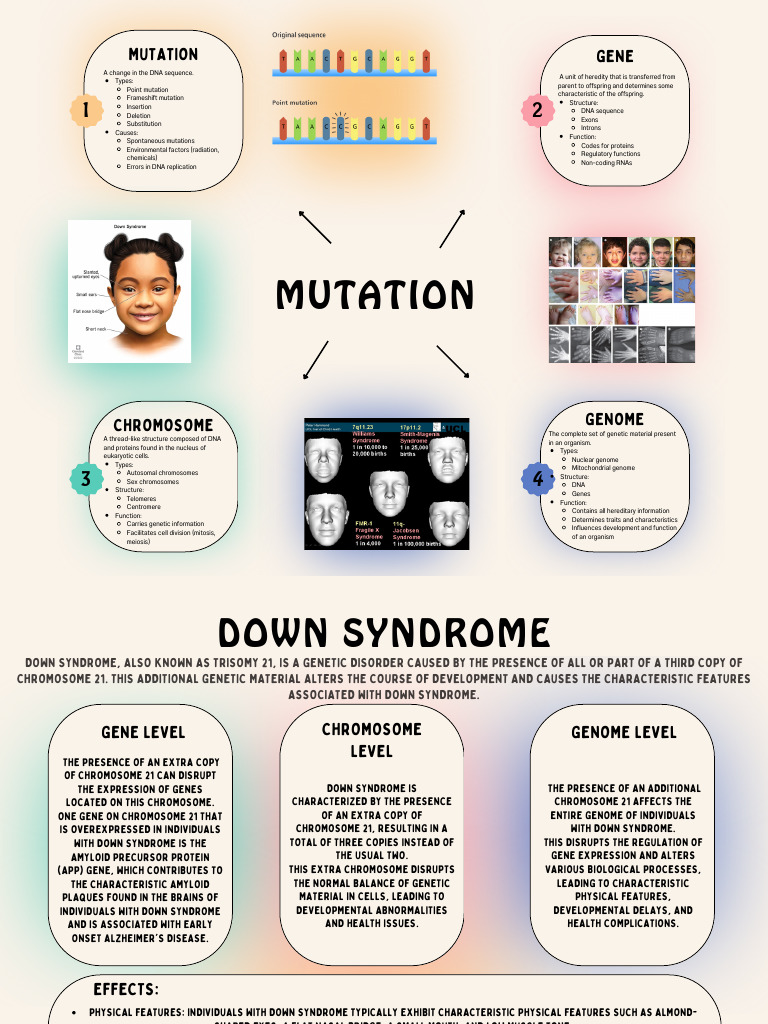 Mutations | PDF | Gene | Chromosome