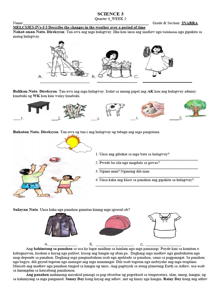 Science Activity w3 | PDF