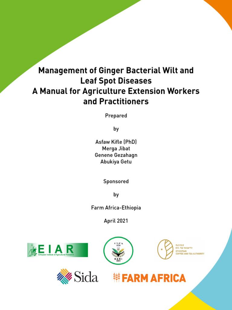 management-of-ginger-bacterial-wilt-and-leaf-spot-diseases--a-manual ...
