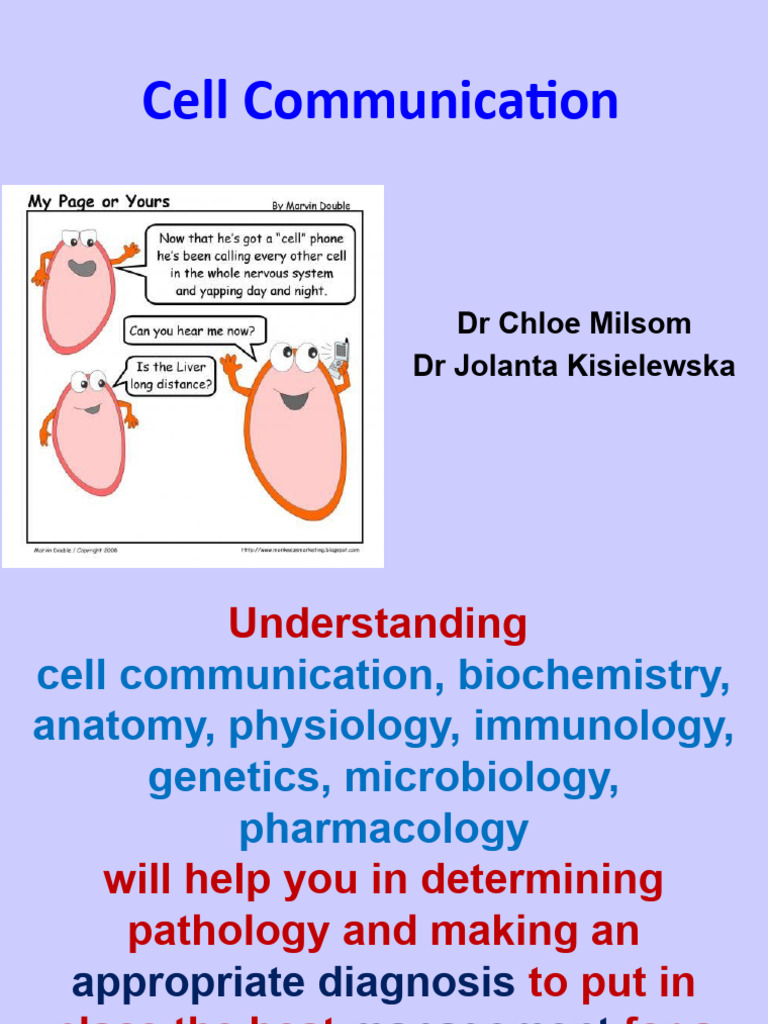 Cell Communication 2023 24 DLE | PDF | Neurotransmitter | Cell Signaling