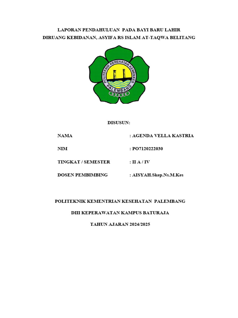 Laporan Asuhan Bayi Baru Lahir BBL SC | PDF