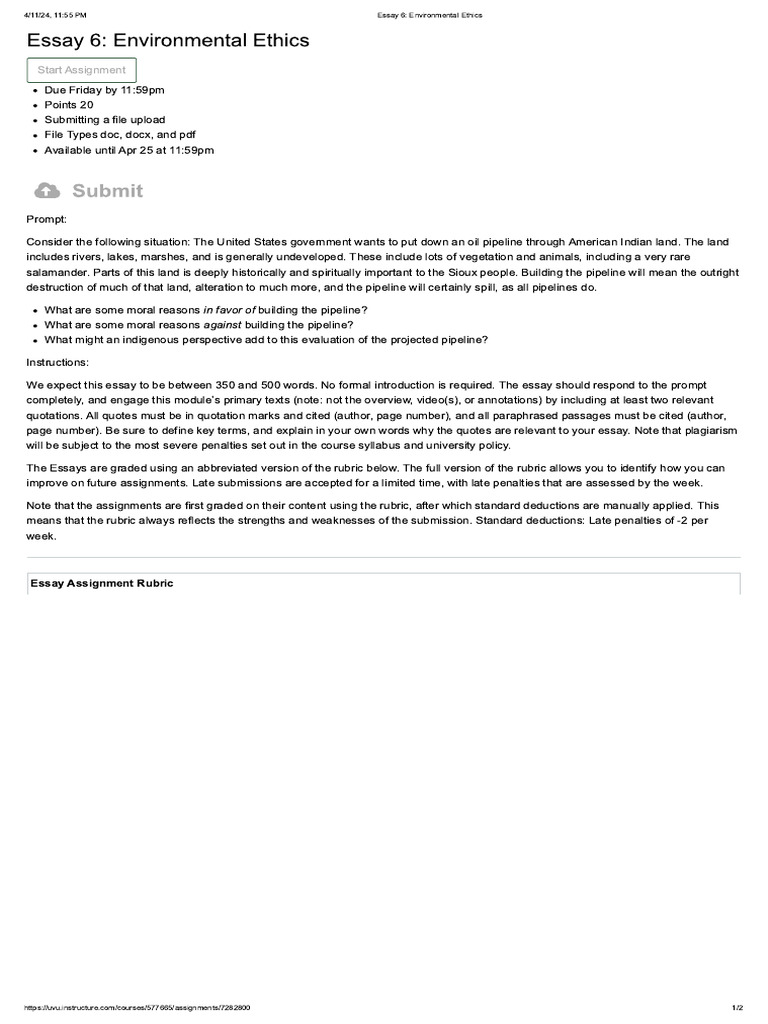 Essay 6 - Environmental Ethics Instructions and Rubric | PDF
