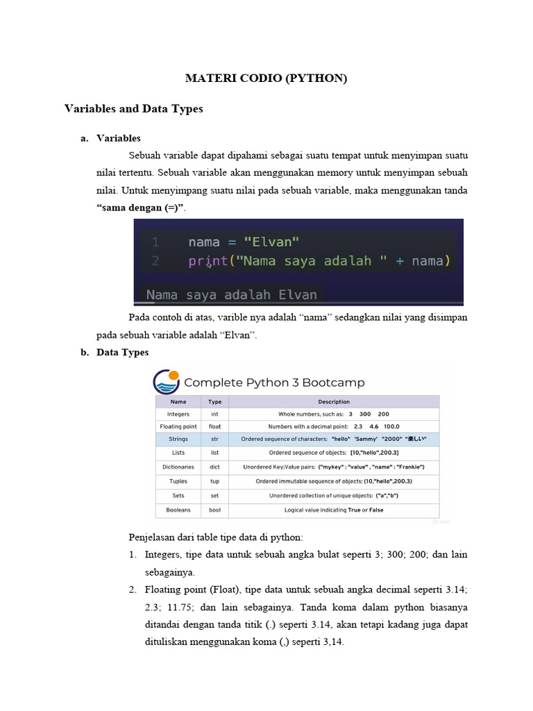 Variables and Data Types | PDF