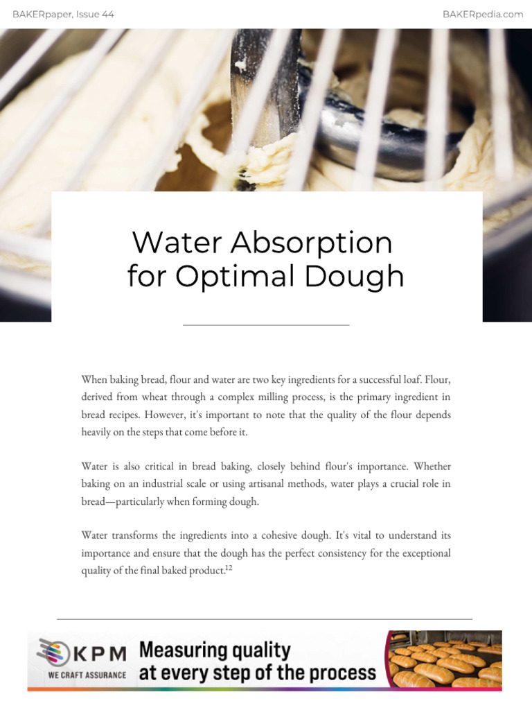 Water Absorption in Bread Baking | PDF | Breads | Flour