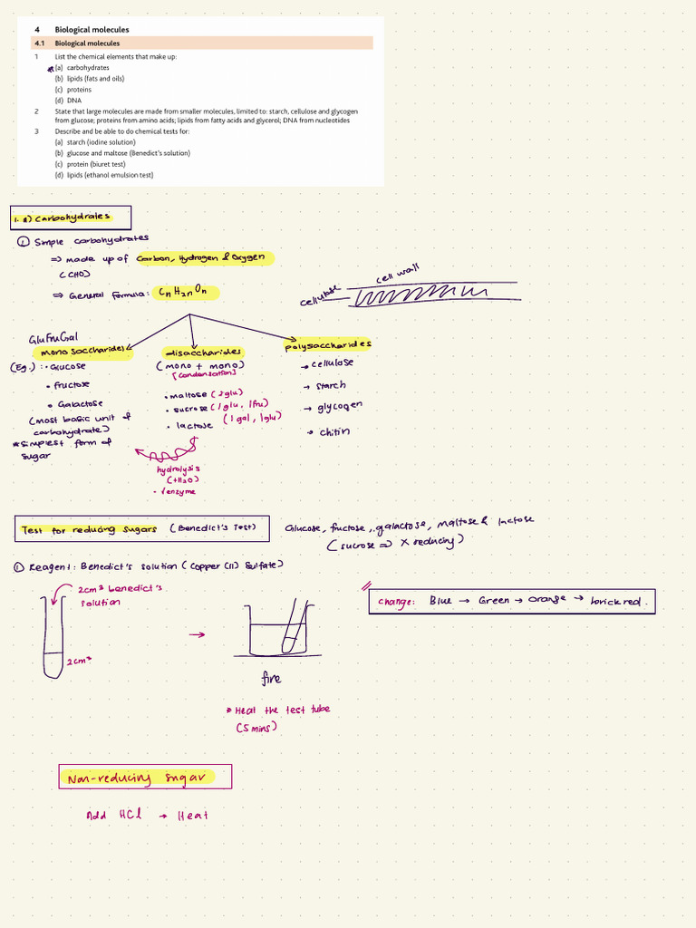 Biology O Level Summary Notes | Download Free PDF | Carbohydrates ...