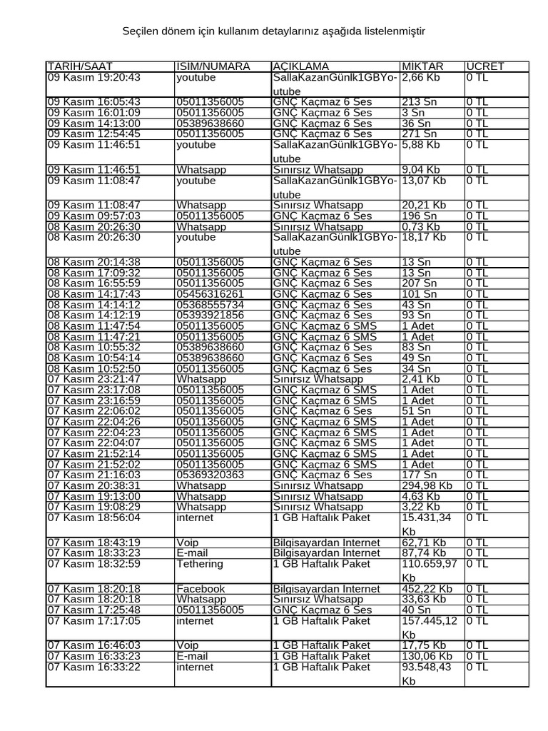 Fatura Sorgulama Thy | PDF