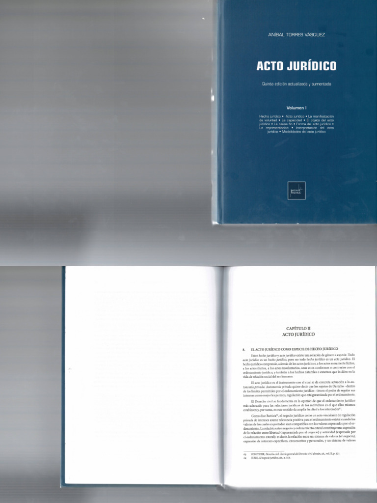Lectura de Anibal Torres - Acto Jurídico | PDF