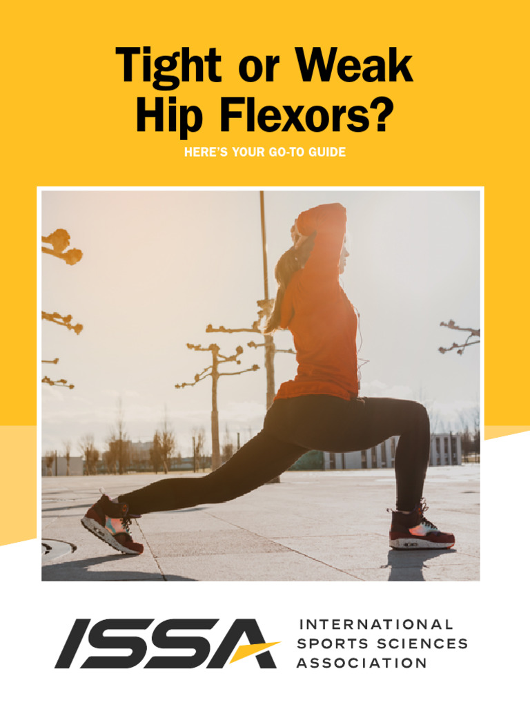 Issa Ebook Hip Flexors Guide | PDF | Musculoskeletal System | Lower Limb Anatomy