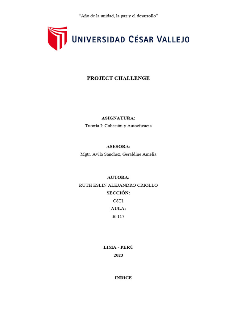 1° Plantilla - Project Challenge | PDF