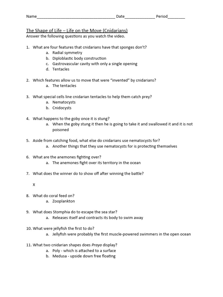 Shape of Life Cnidarians | PDF | Travel | Science & Mathematics