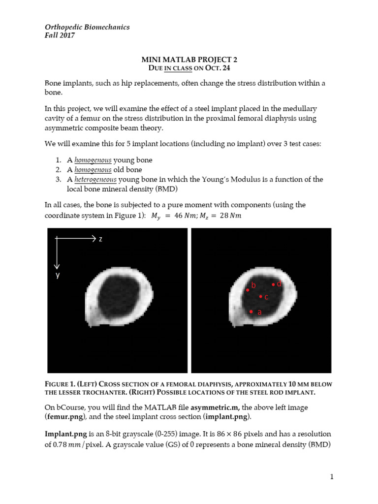 Mini Matlab Project 2 | PDF | Stress (Mechanics) | Bone Mini Matlab Project 2 | PDF | Stress (Mechanics) | Bone