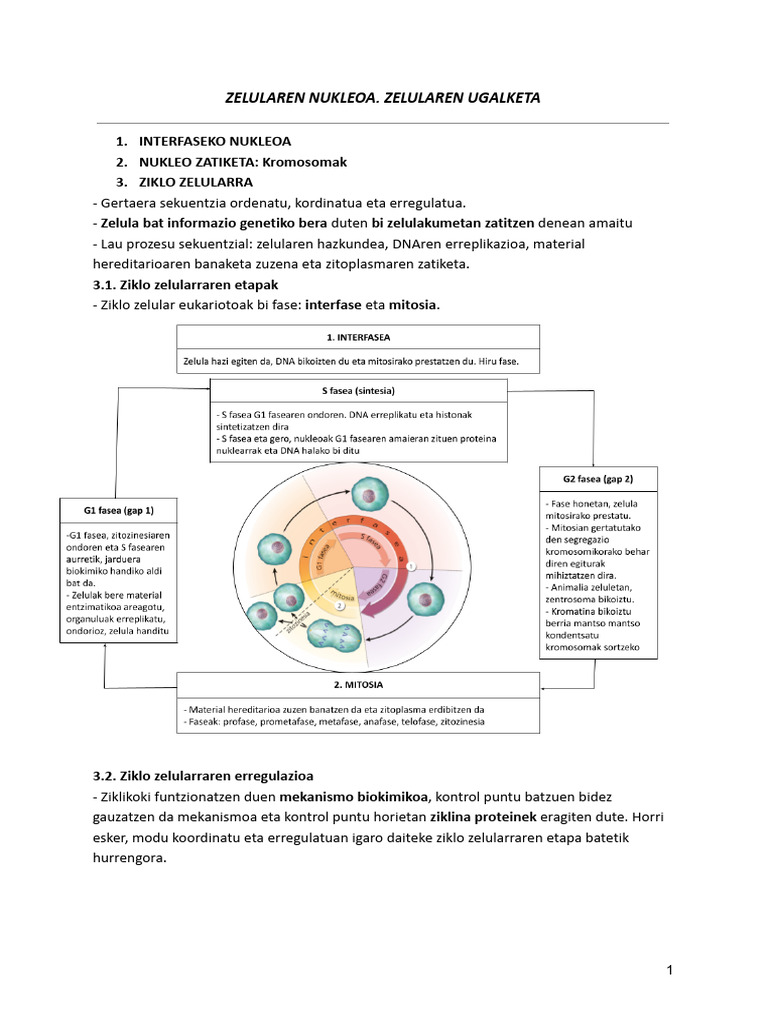 Bio-Azterketa Ii | PDF